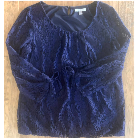 Roz & Ali | Tops | Roz Ali Tunic Top Blouse Drop Waist Lace Long Sleeve ...